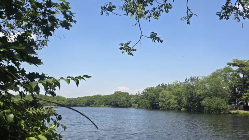 Southards Pond Park - Babylon, NY | Bark Park Finder