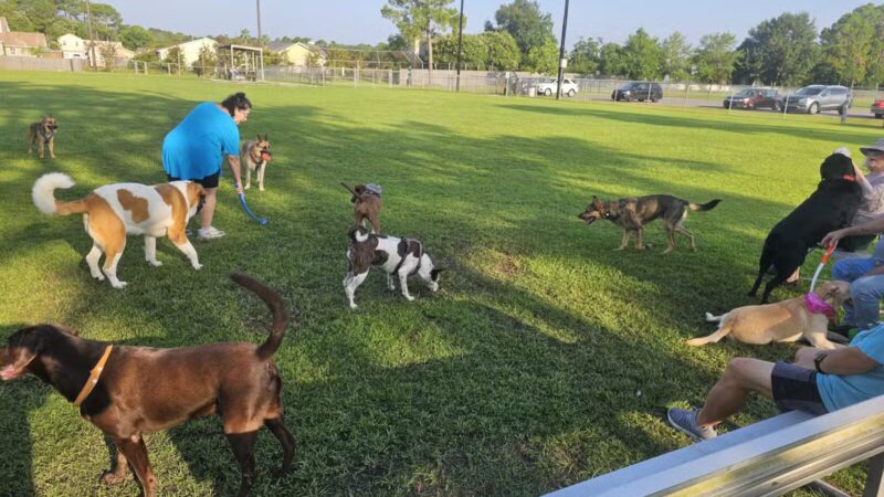 Popp’s Ferry Dog Park - Biloxi, MS | Bark Park Finder