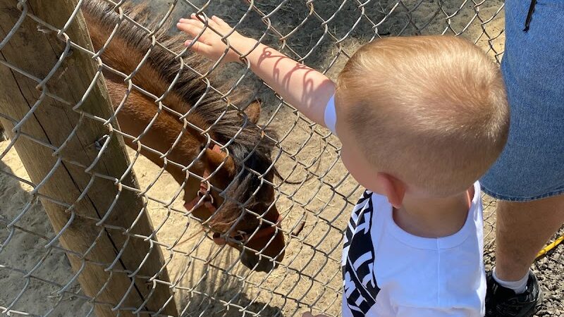 Sandy Oak Ranch - Lake Village, IN | Bark Park Finder
