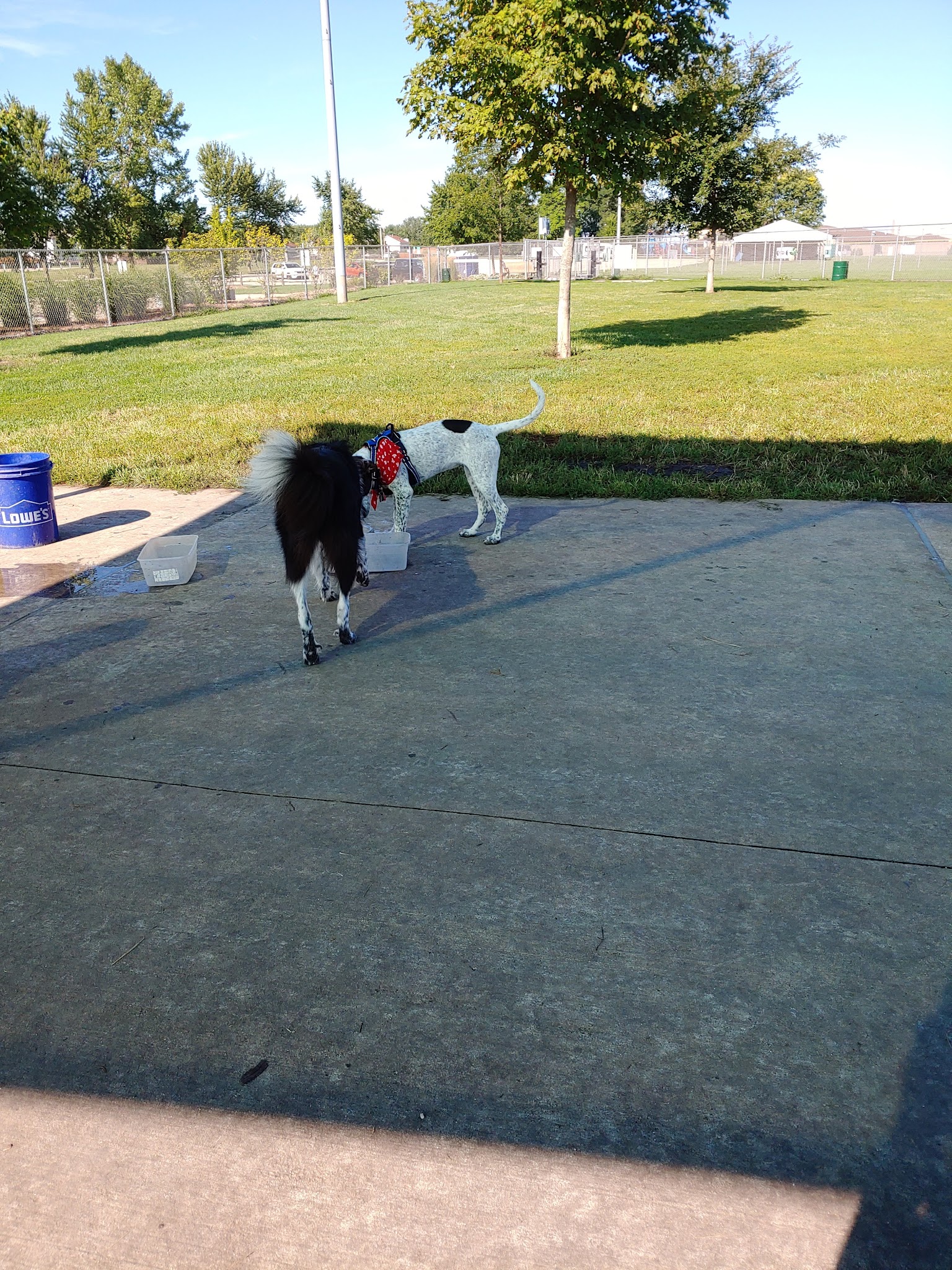 Katz Park - DeKalb, IL | Bark Park Finder