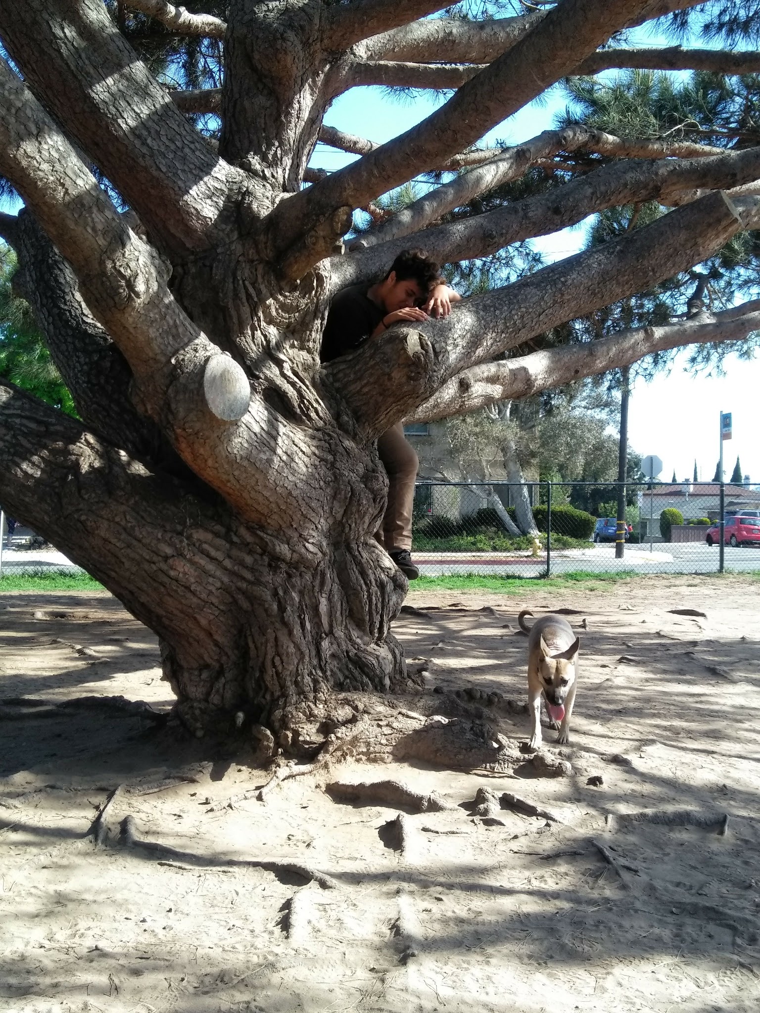 El Segundo Dog Park - El Segundo, CA | Bark Park Finder