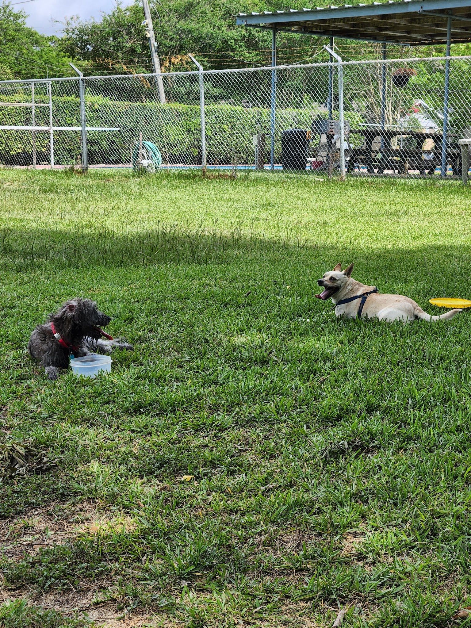 Robindell Dog Run - Houston, TX | Bark Park Finder