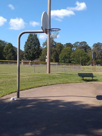 Clinton Bark Park - Clinton Parks and Recreation - Clinton, MS | Bark ...