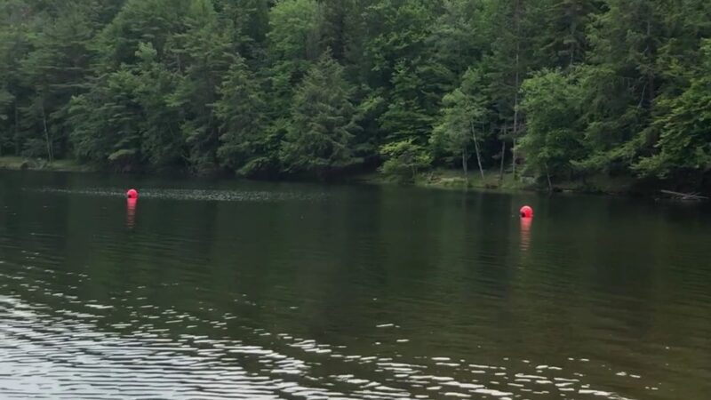 Gilbert Lake State Park - Laurens, NY | Bark Park Finder
