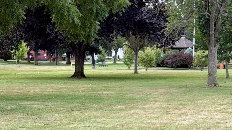 Weller Park - Mohawk, NY | Bark Park Finder