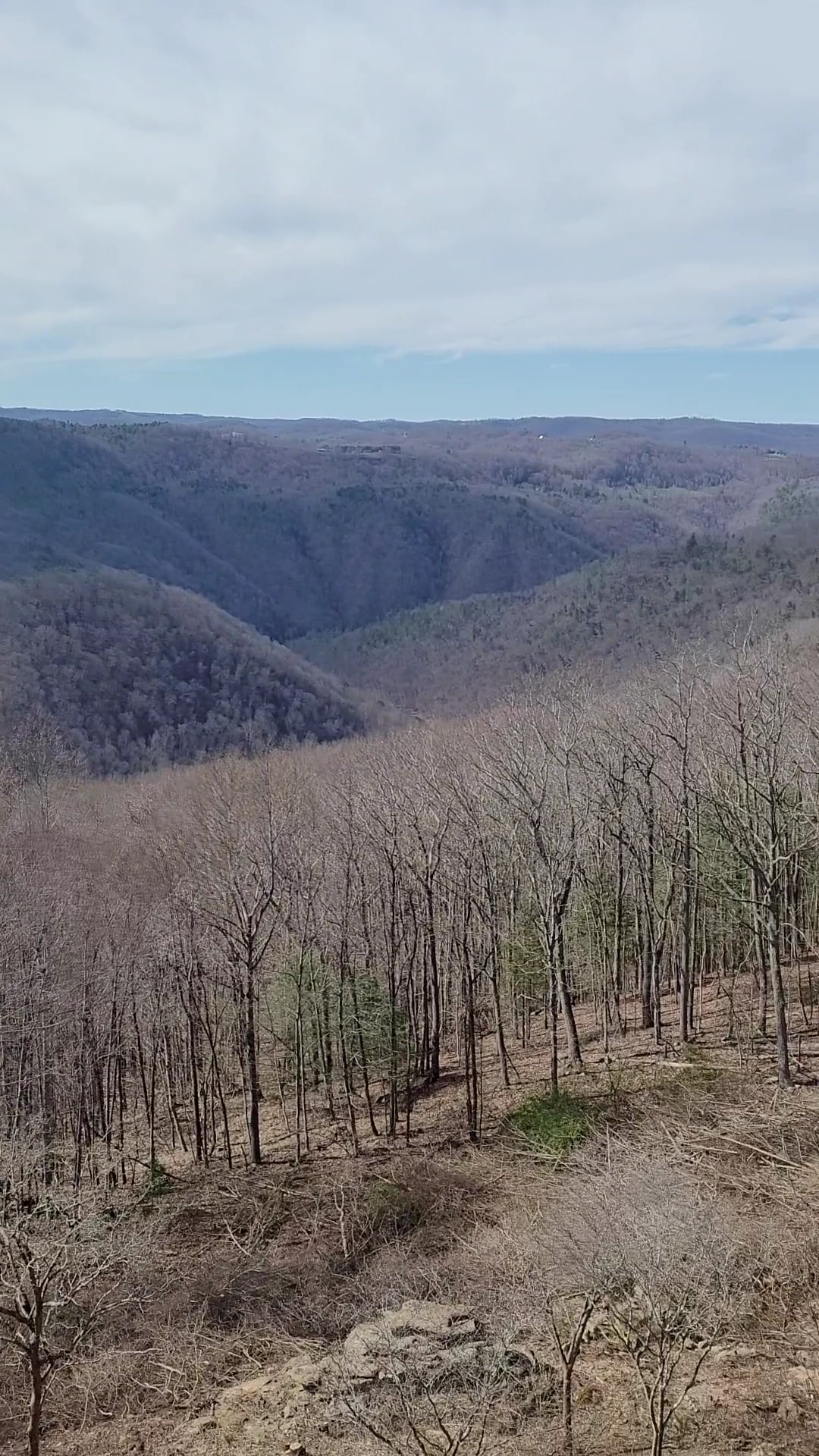 Pipestem Resort State Park - Pipestem, WV | Bark Park Finder