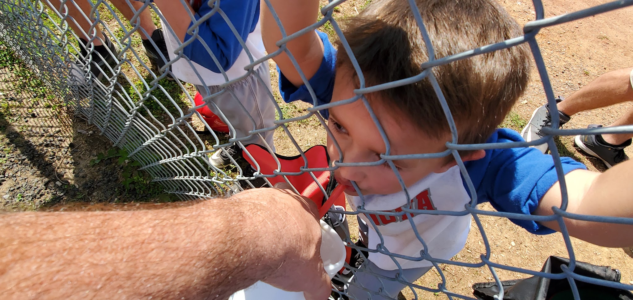 Sumiton City Park - Sumiton, AL | Bark Park Finder
