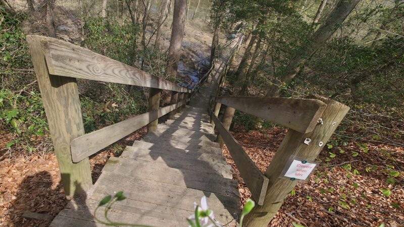Zoar State Forest - Aylett, VA | Bark Park Finder