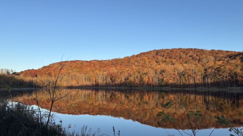Maybrook Rail Trail - Danbury, CT | Bark Park Finder