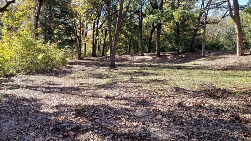 Skate park - Durant, OK | Bark Park Finder