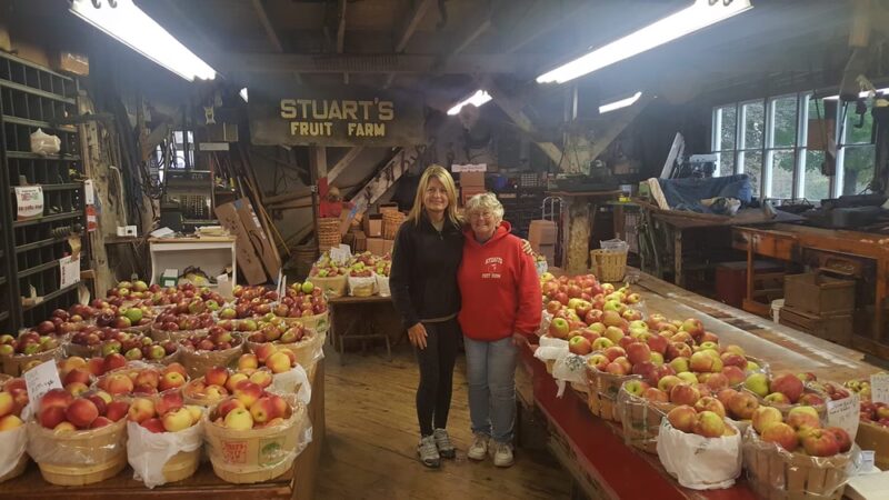 Stuart’s Farm - Granite Springs, NY | Bark Park Finder