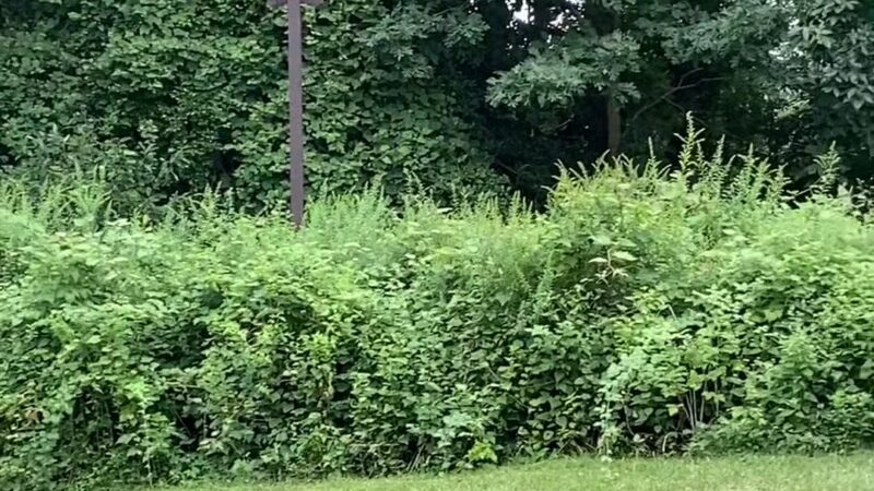 Huber Woods Park - Locust, NJ | Bark Park Finder