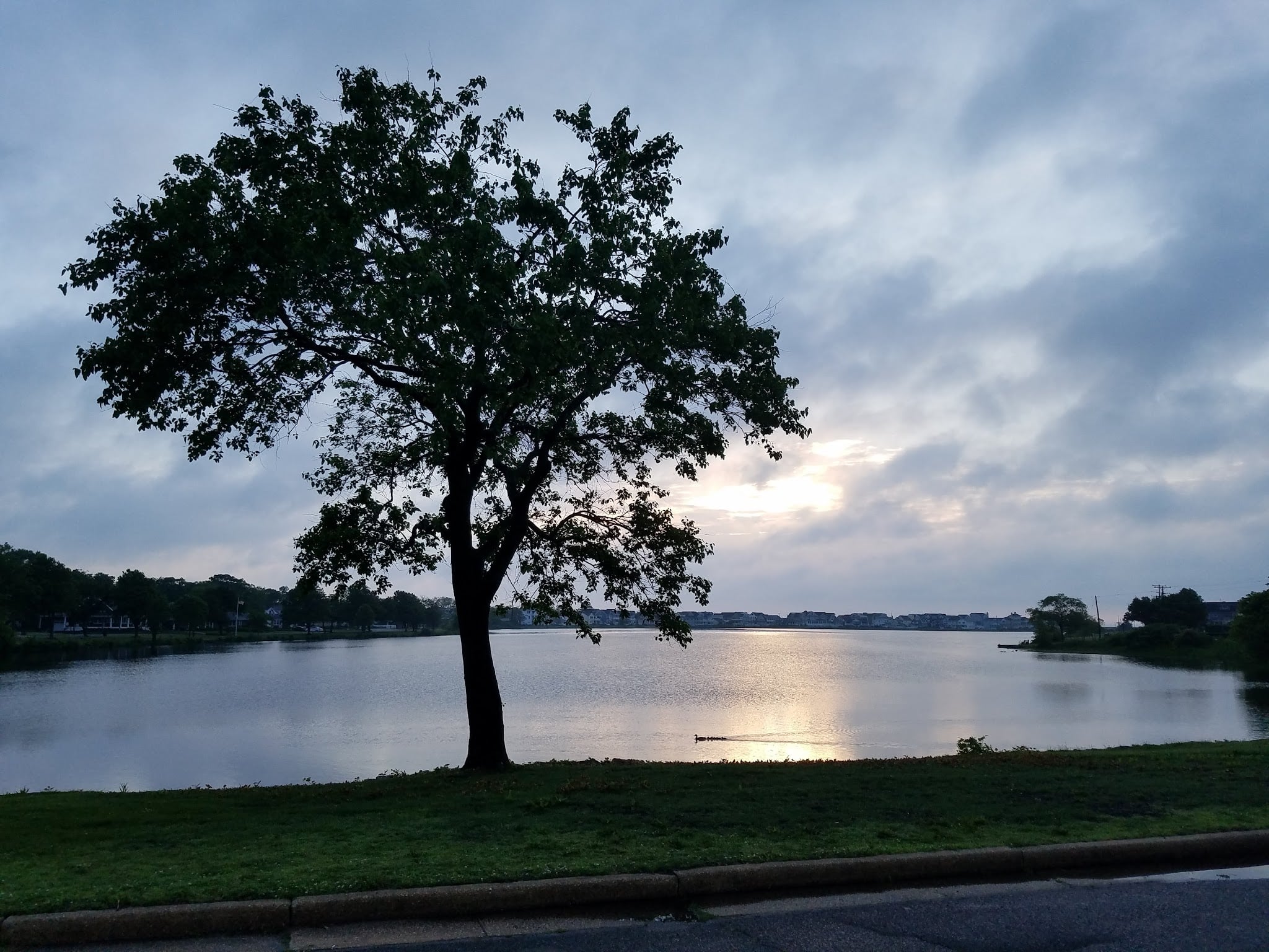 Marucci Memorial Park - Spring Lake, NJ | Bark Park Finder