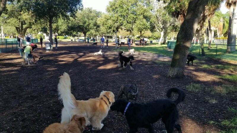 North Shore Park - St. Petersburg, FL | Bark Park Finder