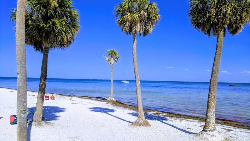 North Shore Park - St. Petersburg, FL | Bark Park Finder