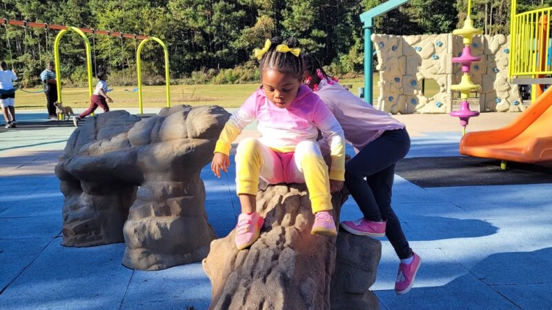 Wade Walker Park - Stone Mountain, GA | Bark Park Finder