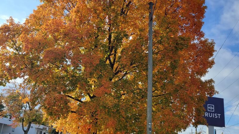 Wade Walker Park - Stone Mountain, GA | Bark Park Finder