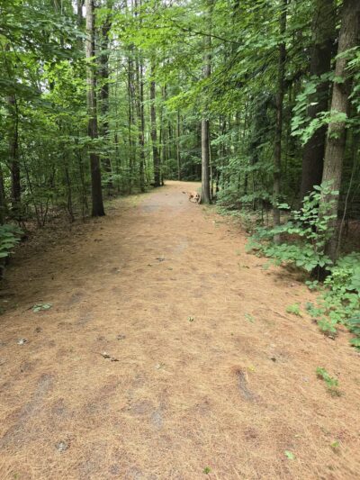 Texaco Beach - Burlington, VT | Bark Park Finder