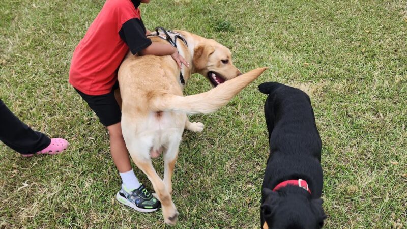 Big Dogs Park – Homestead, FL – Bark Park Finder