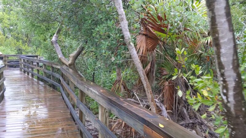 Long Key State Park - Layton, FL | Bark Park Finder
