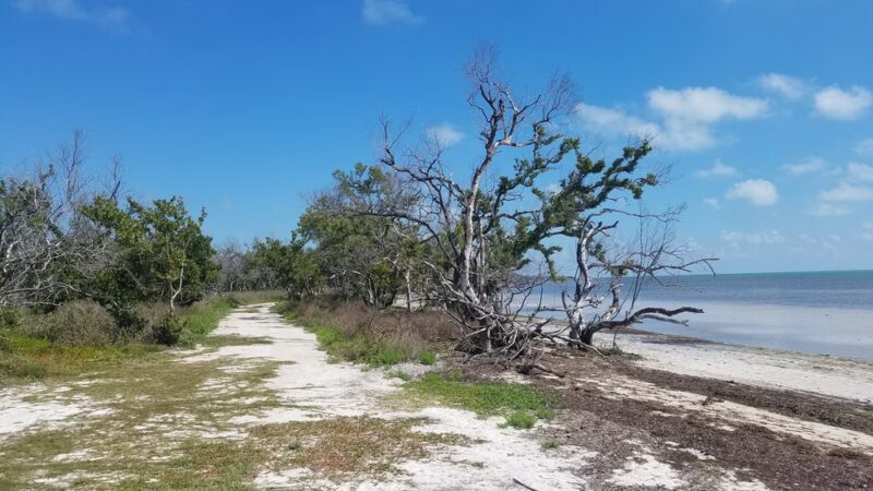 Long Key State Park - Layton, FL | Bark Park Finder