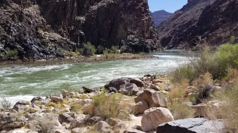 Peach Springs - Peach Springs, AZ | Bark Park Finder