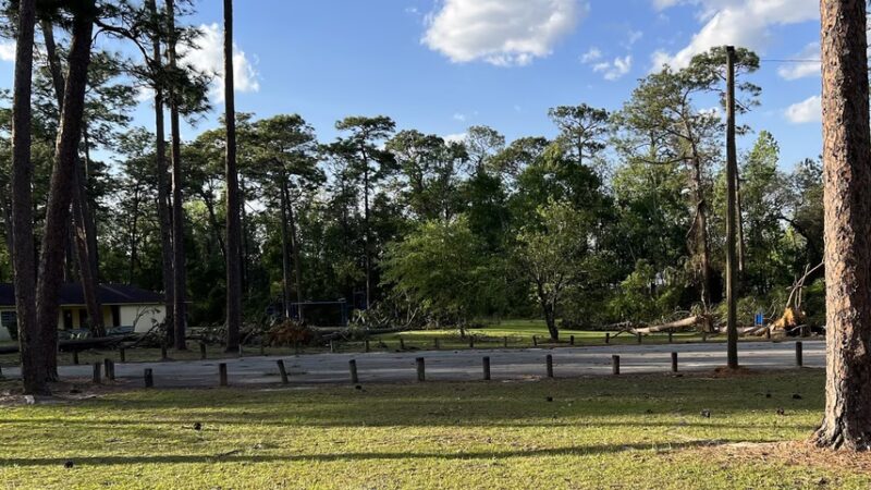 Balfour Park- City of Thomasville Dog Park - Thomasville, GA | Bark ...