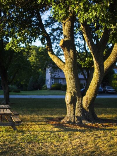 Texaco Beach - Burlington, VT | Bark Park Finder